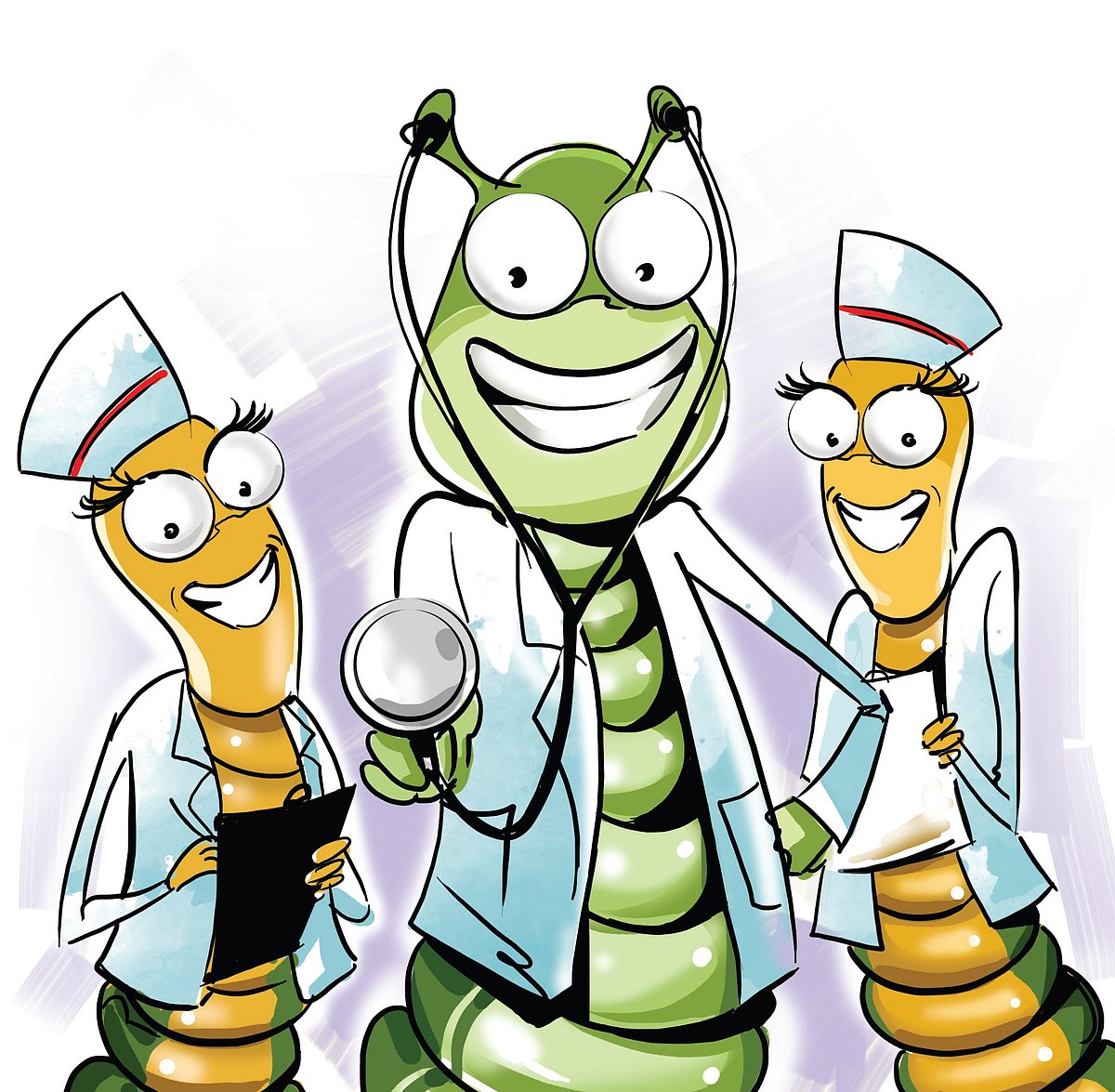 Maggots to be used to remove the dead tissue in diabetes patients