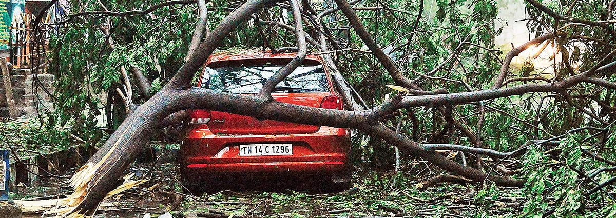 Four-pronged strategy to cope with fury of storms