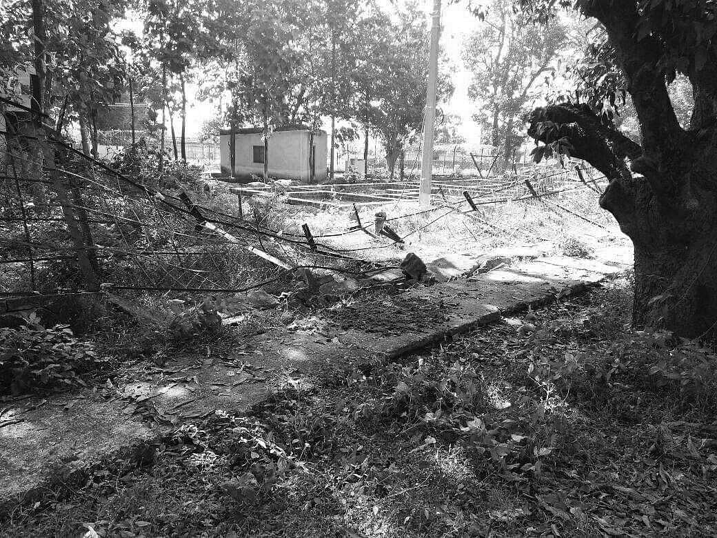 face off: angry villagers vs Panicked jumbos