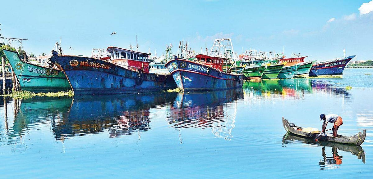 Cyclone Ockhi: Goa assesses damage; shack owners to seek compensation