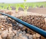 Rs 300-cr drip irrigation plan for horticultural crops