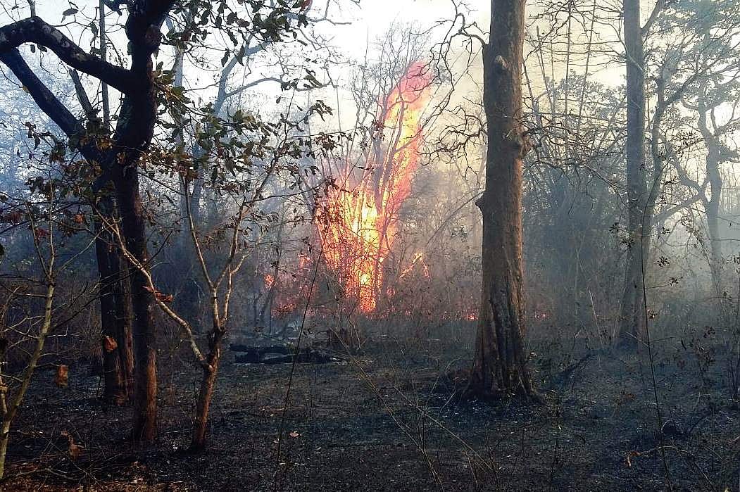 Fire destroys six acres of forest in Gadag in Karnataka