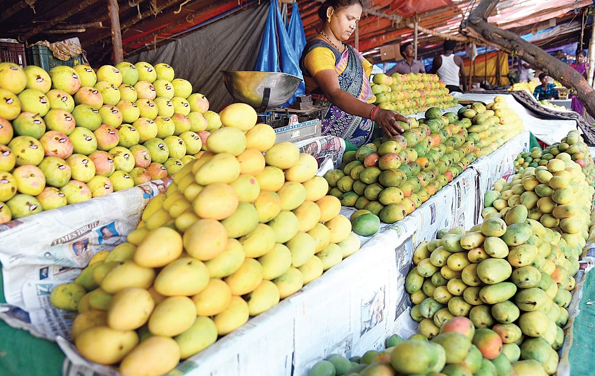 Karnataka’s mangoes ON american platter