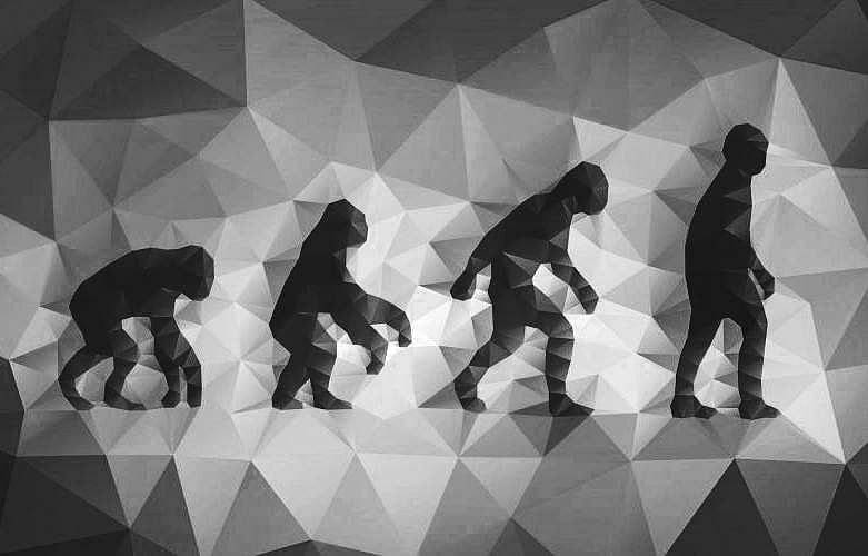 Seeking conscious evolution