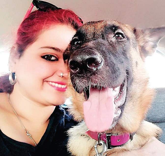 Ads show a distorted picture of dog reality