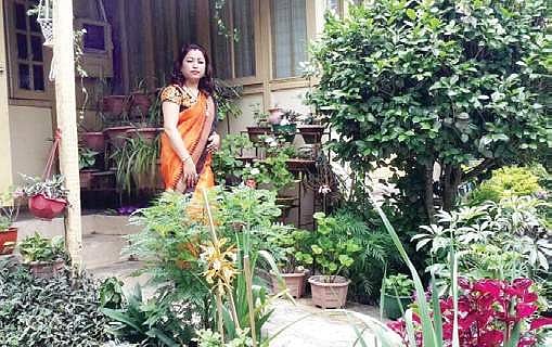 Patience & miniature flowers make a beautiful garden