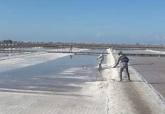 No takers for Vedaranyam salt as Gujarat producers make inroads