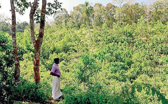 Laying waste to ecosystem