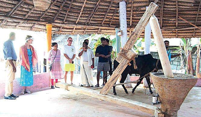 Kera Park: Experiencing village life in Kerala, first hand