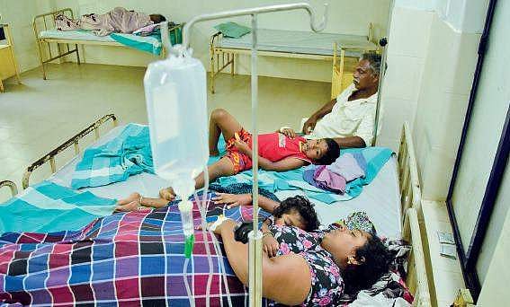 Disease alert at coastal Pulluvila region