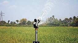 Micro-irrigation to cover one crore acres in Andhra Pradesh
