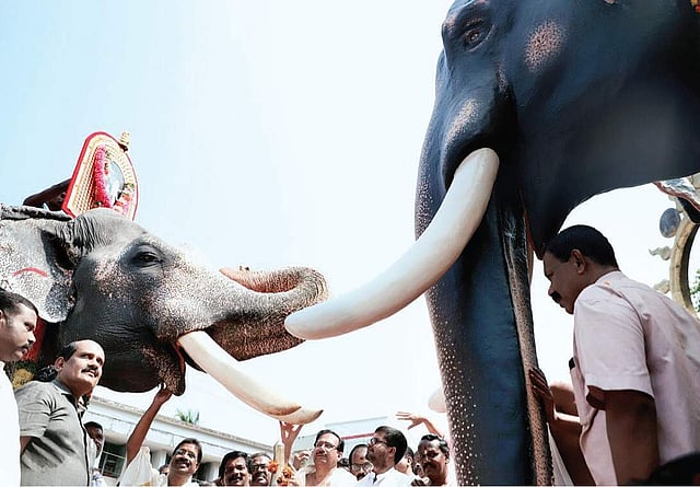 Guruvayur Ekadasi today