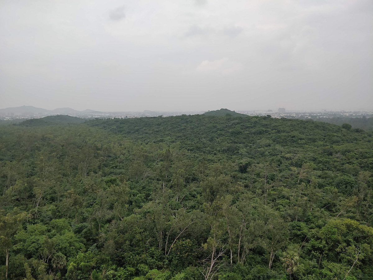 Chennai's second biggest forest may help the city preserve groundwater