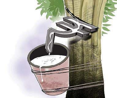 Efforts towards a sustainable Rubber Value Chain