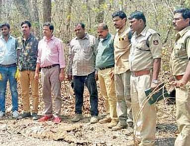 Forest officials and activists differ over tiger death autopsy report