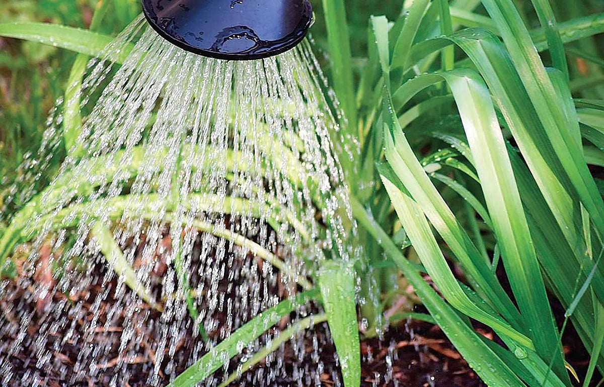 Little drops of water make an ocean mighty