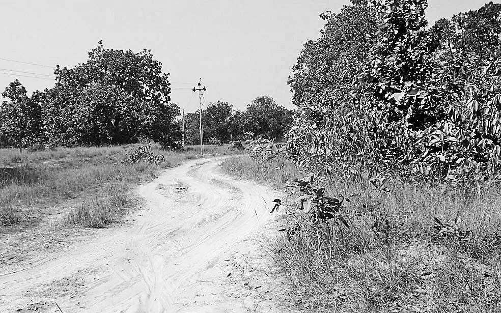 Seven Rengali villages await road network