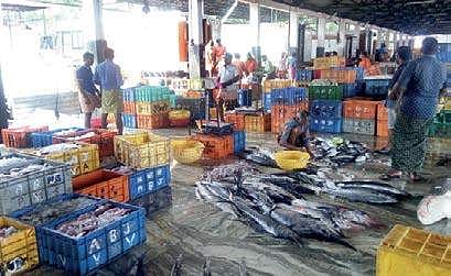 Fisheries university to come up in Andhra Pradesh