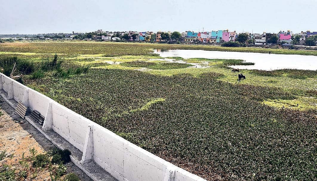 Chennai: Wall built on Mathur lake area to protect encroachments