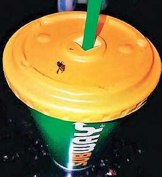 Subway does it again; woman finds fly in cool drink!
