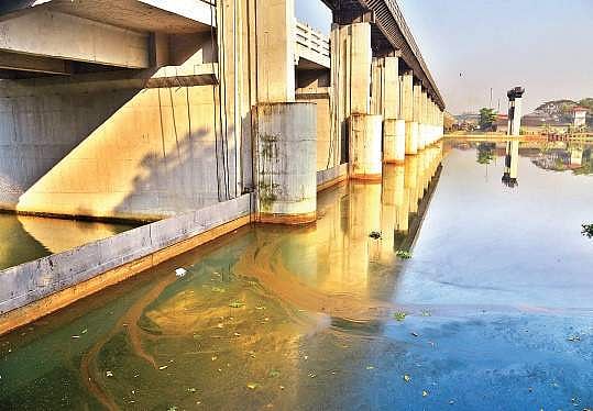 Greens see red over making a mockery of nature conservation