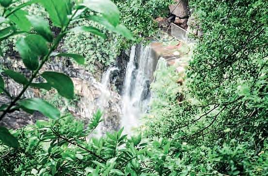 Andhra's Nallamala forest likely to get 2 adventure parks