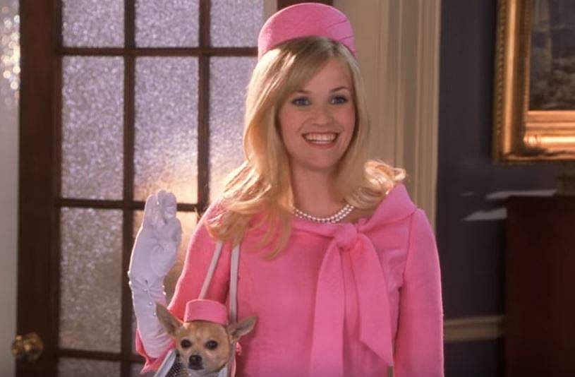'Legally Blonde' spin-off series in the works at Prime Video