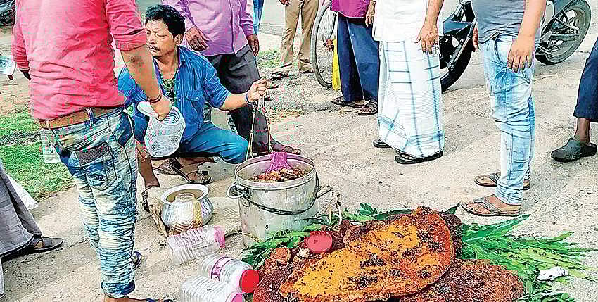 Nomadic west bengal youth on a hive-hunting mission in Vellore