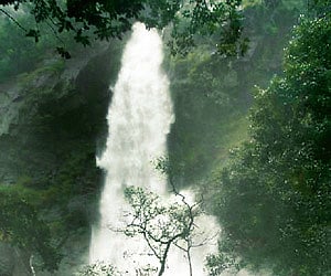 One dead, over 100 rescued from Chinchoti waterfall near Mumbai