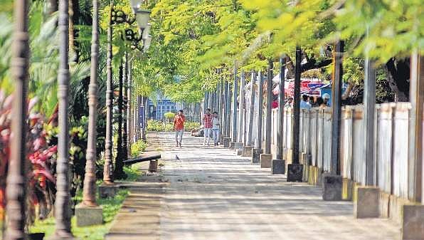Subhash Park to get a butterfly garden