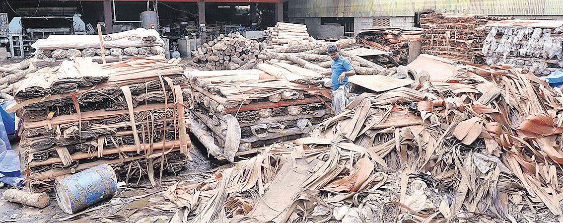 Shortage of raw material plunges plywood industry into crisis after floods