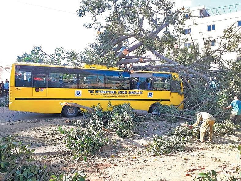 36 kids escape as tree falls on school bus
