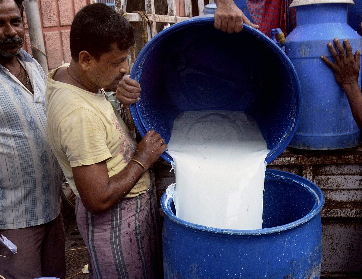 Half of the milk sold in Telangana found to be of poor quality: FSSAI ...