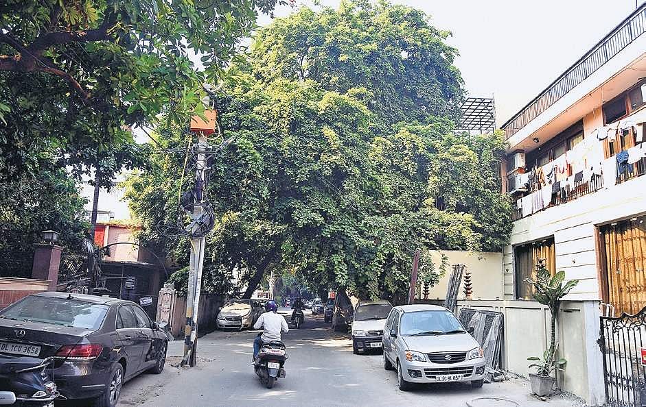Kailash Colony’s dilemma of excess green