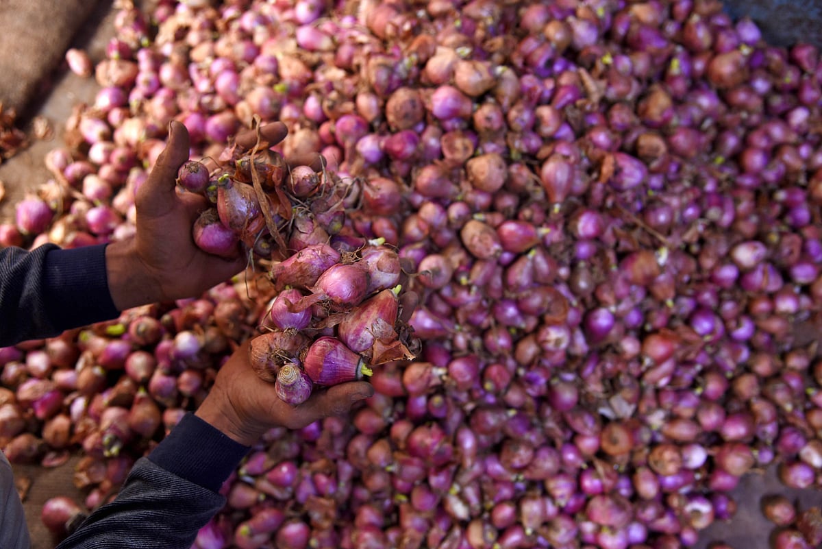 Fresh arrivals bring down onion price