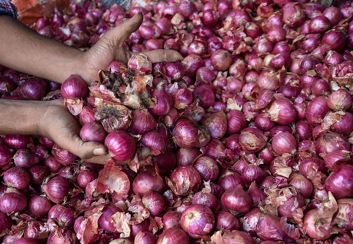 After a short dip, onion prices shoot up again