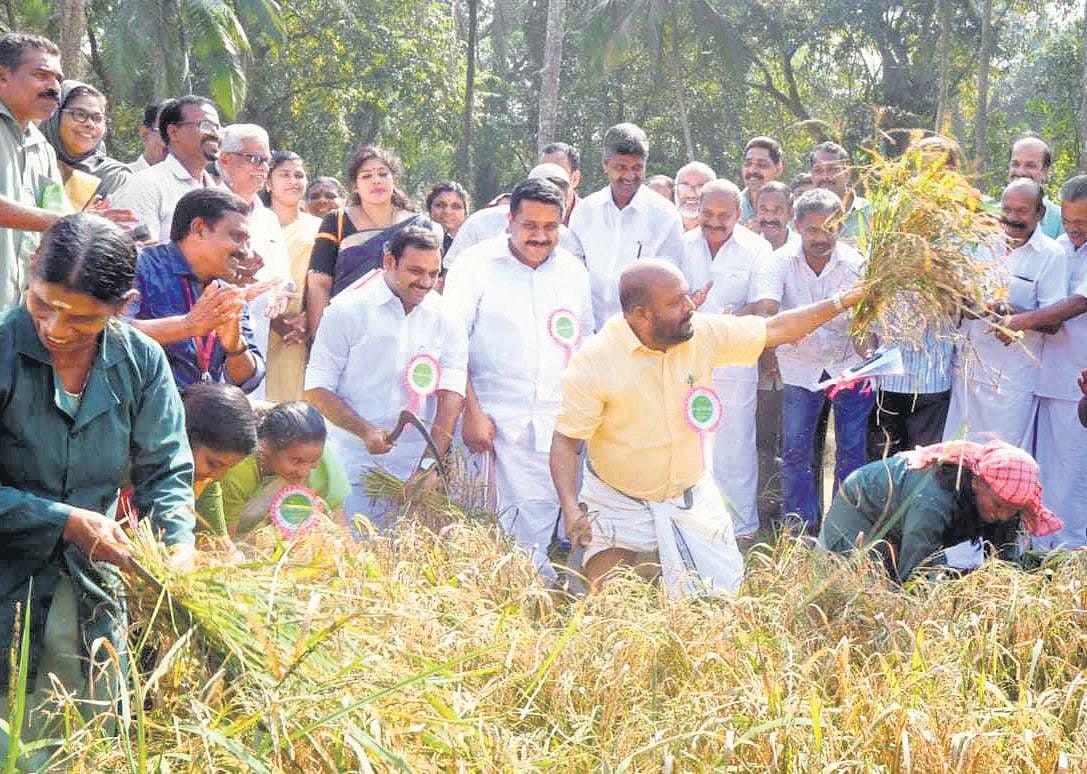 Neriamangalam farm will soon become base camp for tourists, says minister
