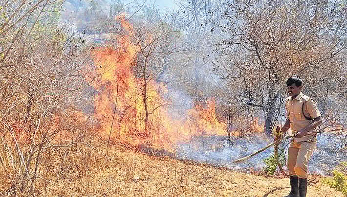 Fire under control, patrolling intensified in Bandipur