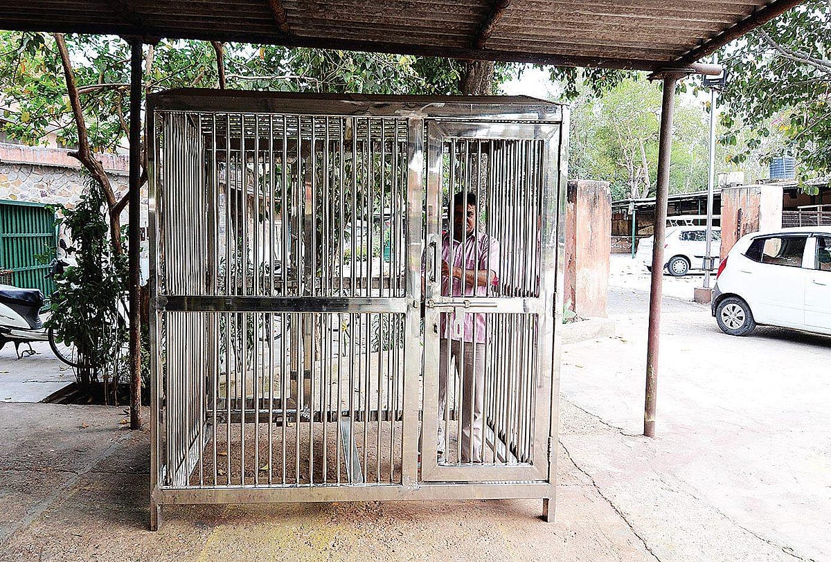 Shaken by 2014 tragedy, zoo to test safety cage for humans