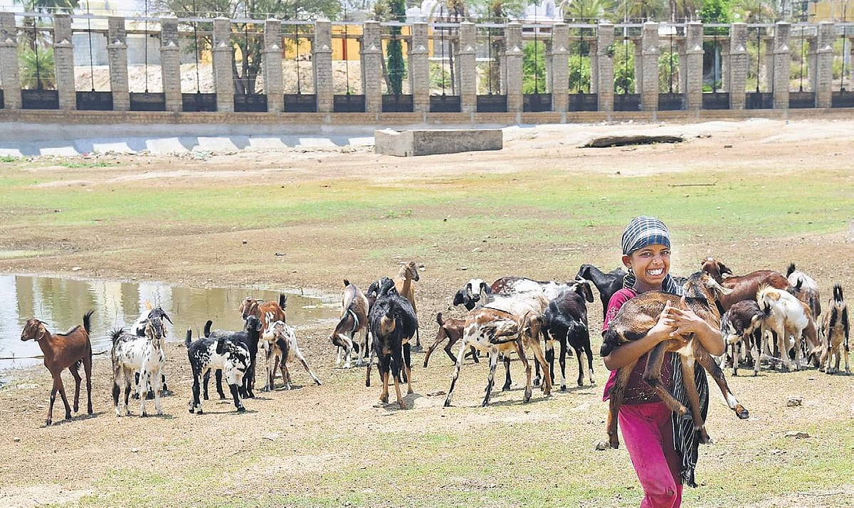 People here are parched and peeved