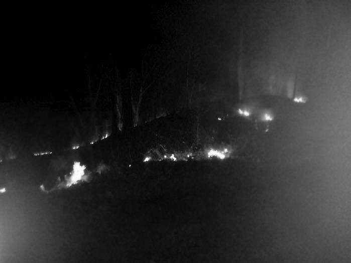 Raging fire destroys Malkangiri forest