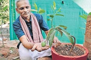 This tree-maker of Kumta has hundreds of bonsai beauties