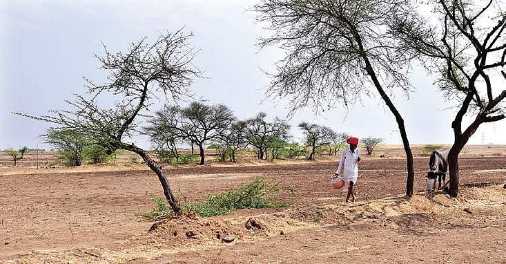 Message hits home: Govt scurries to start drought relief works