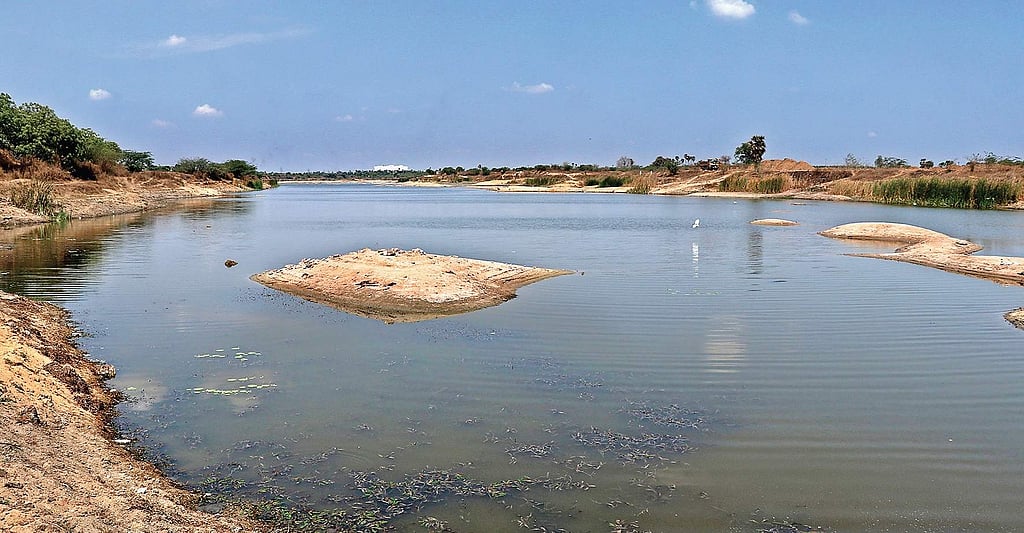 Clean Cooum dying slowly