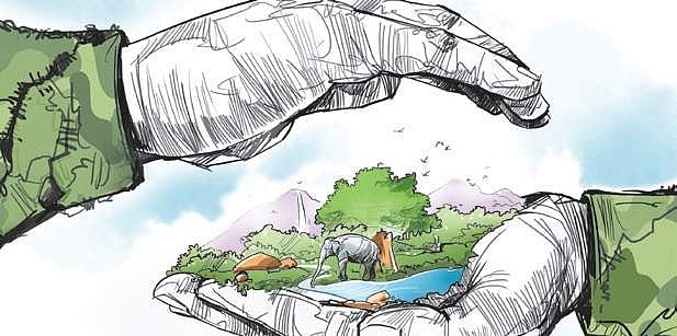 Kerala Forest Department forms special team to crack bison poaching