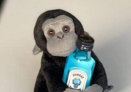Alcoholic monkey becomes Elon Musk's Twitter picture