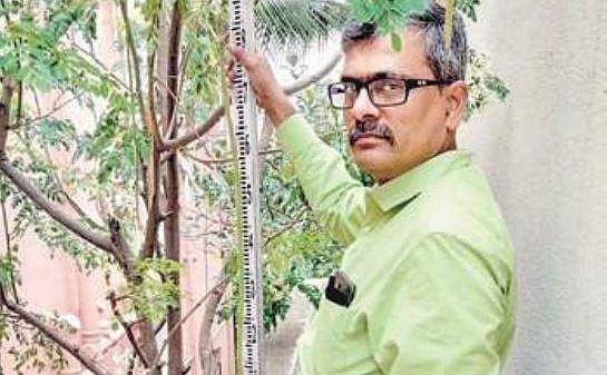 Scientist aims to set record with 4-storey-high tree
