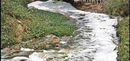 Lake encroachment? Appoint expert panel