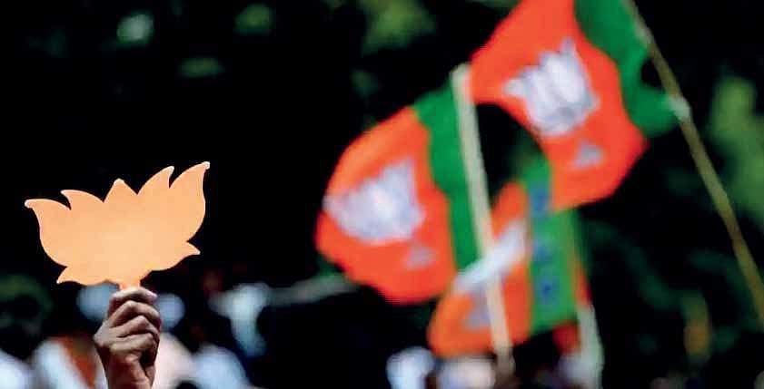BJP membership drive: Cadres who add 25 new faces in party to be ...
