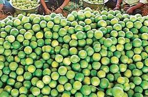 Lemon farmers in Andhra Pradesh sour over declining market price